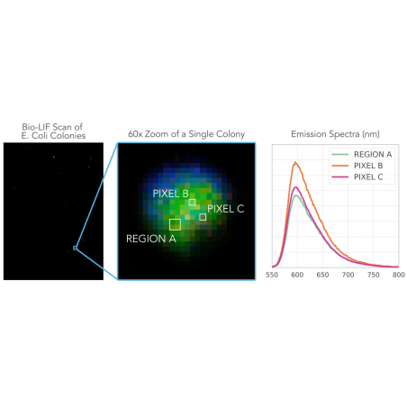 Hyperspectral Bio-LIF System