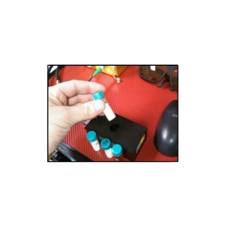 Portable Raman System